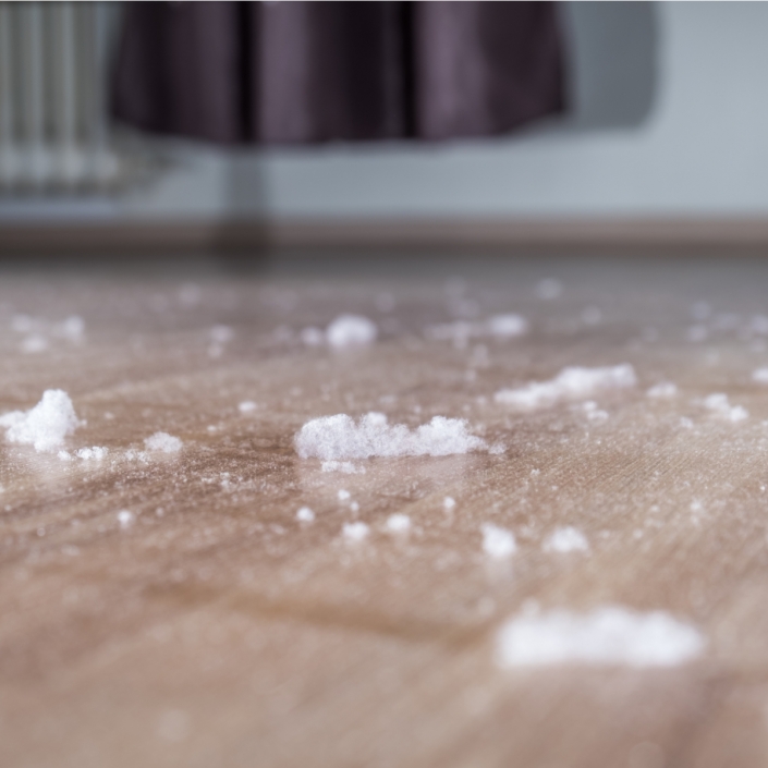 What Kind of Bacteria is on the Floor of Your Business? - North Star Mat